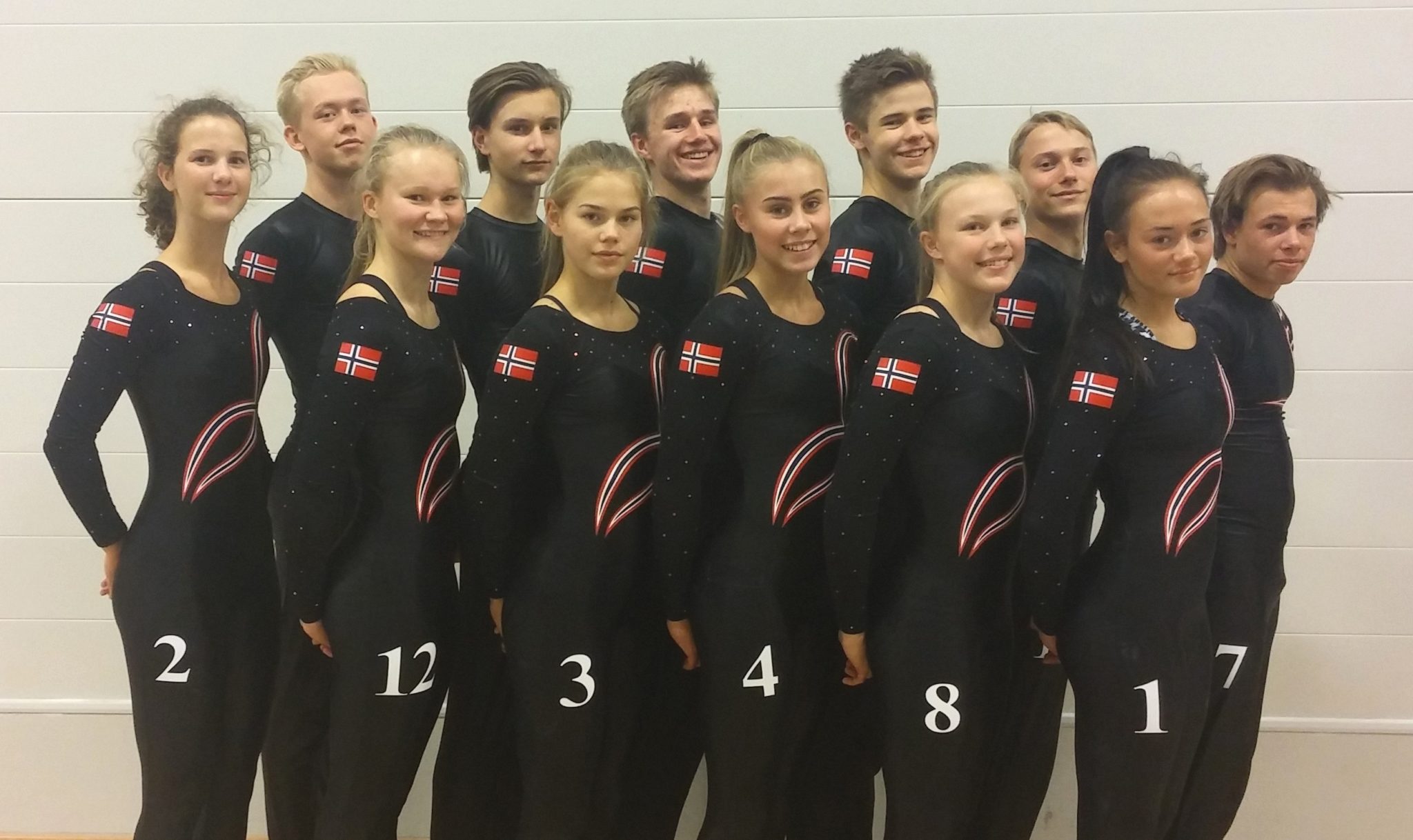 Sølv og bronse i EM TeamGym! — Norges Gymnastikk og Turnforbund